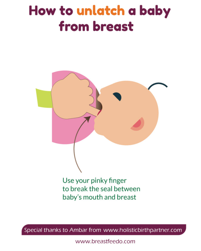 Blog – The Plugged Duct Diaries